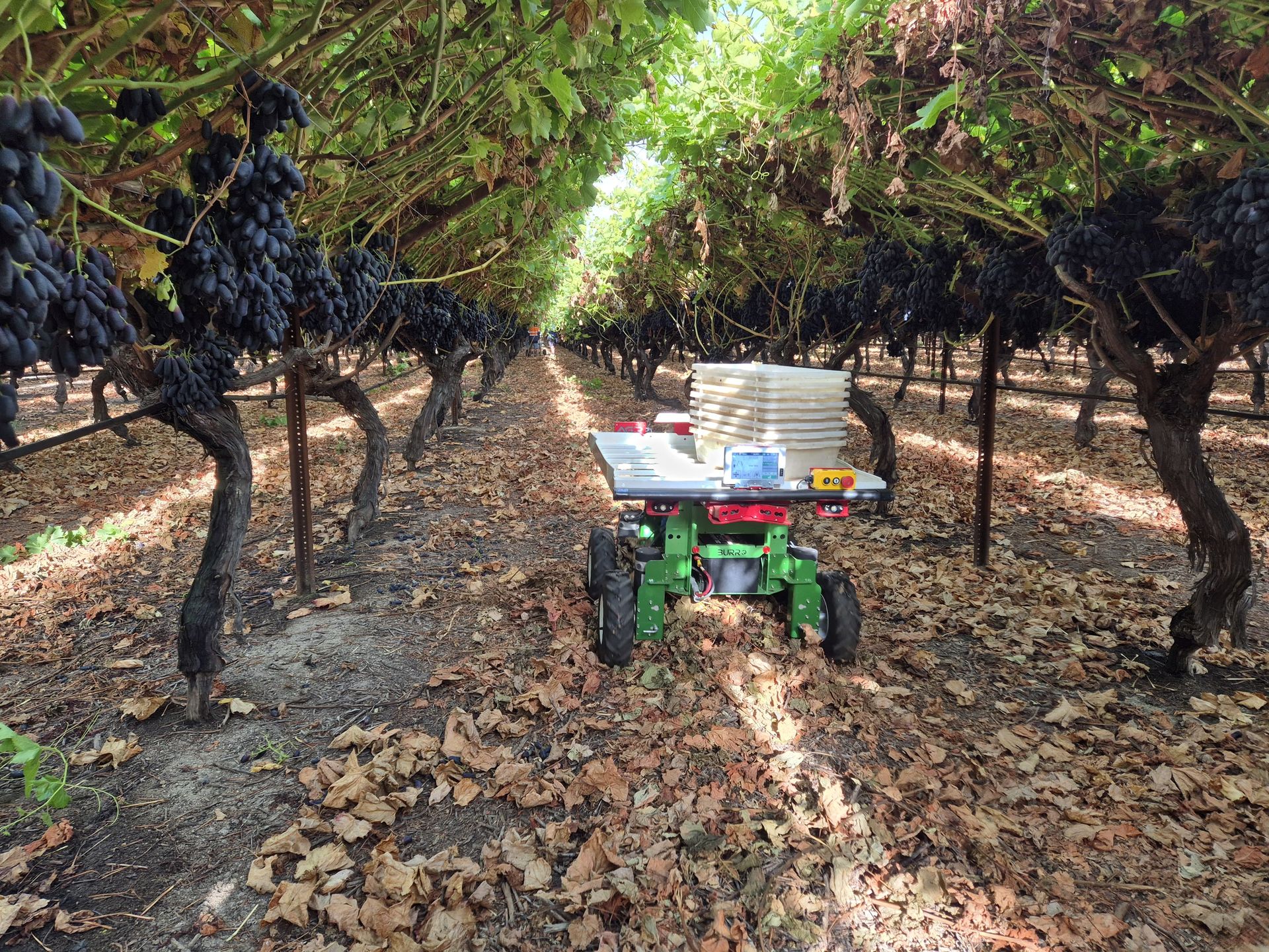 Burro-Standard | AgriAutomation AU